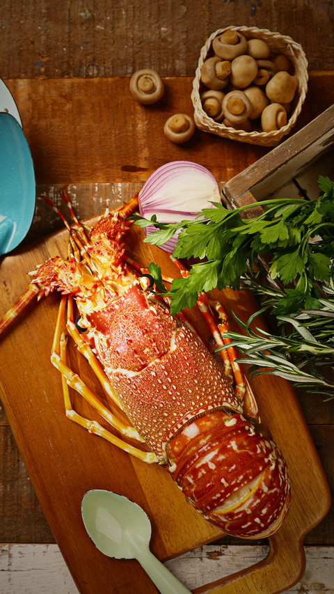 菜市场寻人启事 MTZ wallpaper and How To Apply MTZ Theme - Collection of MTZ ...